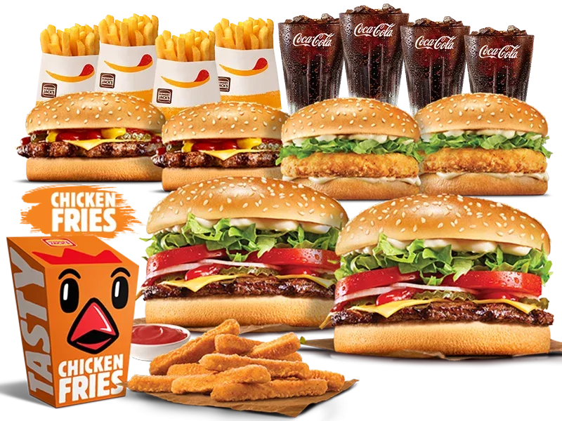 CHICKEN FRIES MEGA FEAST